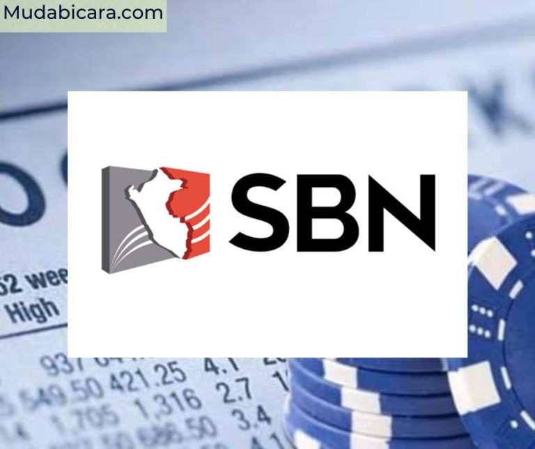 What is SBN? Definition, Types, and Benefits - Mudabicara