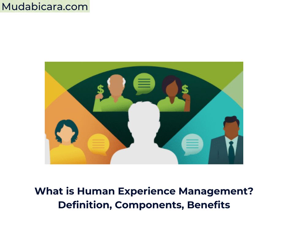 What Is Human Experience Management Definition Components Benefits What Is Human Experience Management Definition Components Benefits