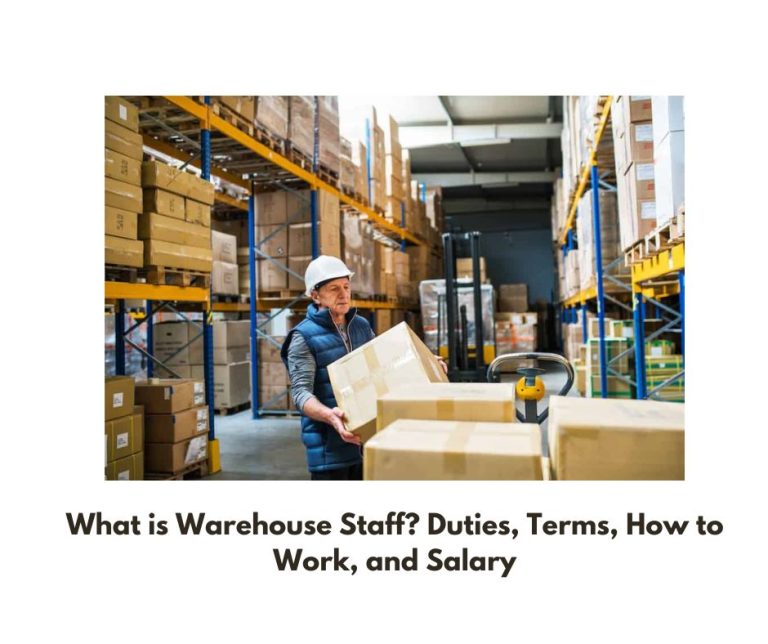 What is Warehouse Staff? Duties, Terms, How to Work, and Salary