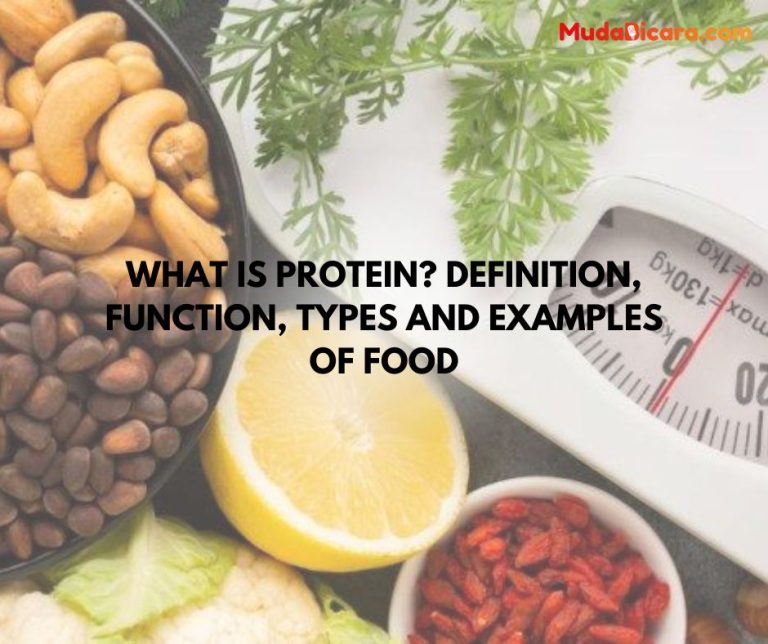 What is Protein? Definition, Function, Types and Examples of Food ...